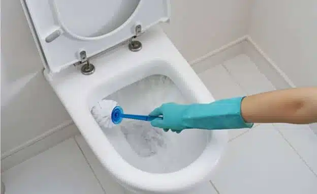 Cómo limpiar y desatascar un inodoro inteligente